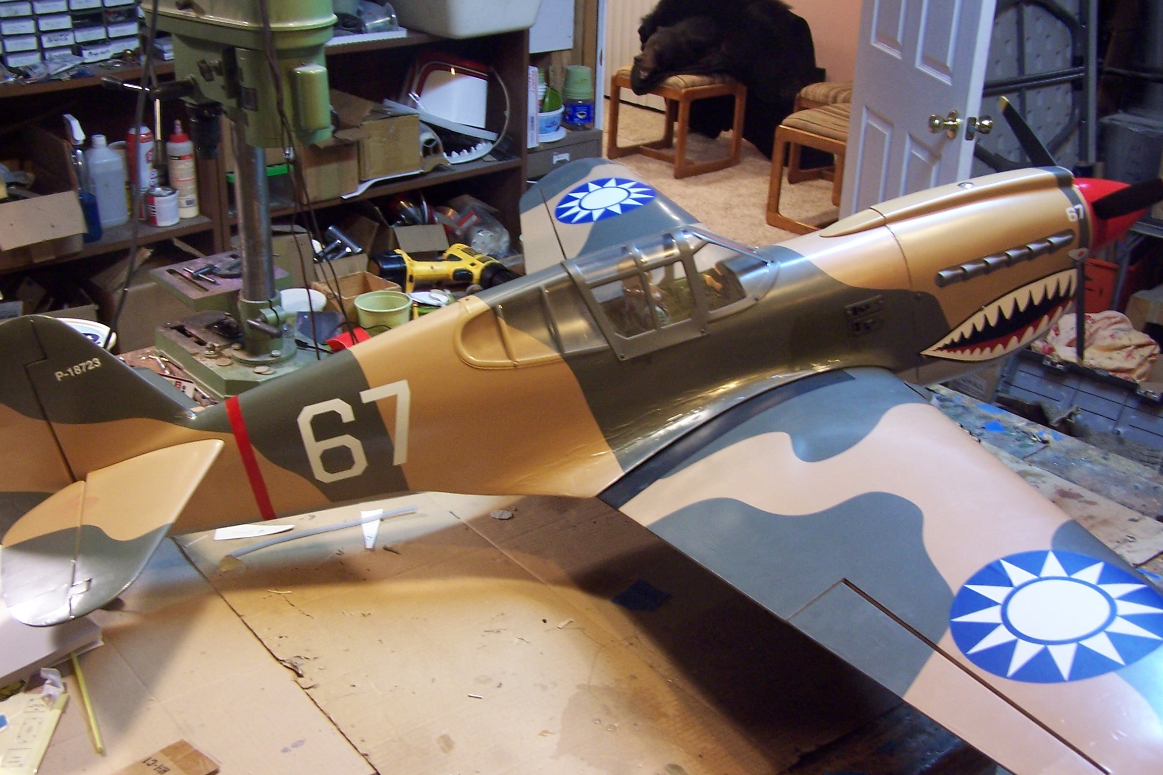 P-40 Brotherhood (All P-40's Welcome) - Page 56 - RCU Forums